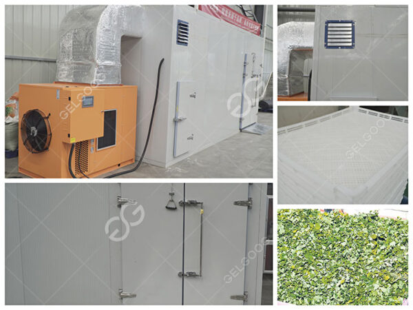Moringa Leaf Drying Machine Heat Pump Herbal Leaf Dryer