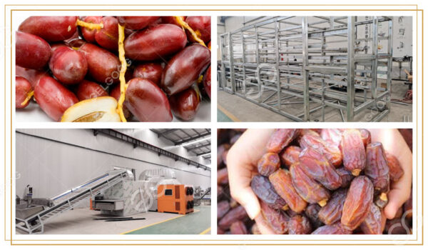 Continuous Dates Fruit Mesh Belt Drying Machine For Sale