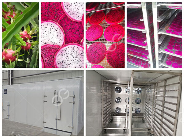 Commercial Dragon Fruit Drying Machine Pitaya Dehydrator