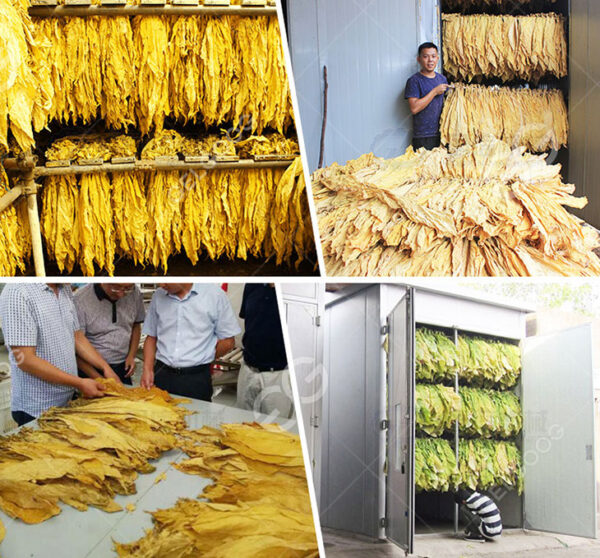 Heat Pump Tobacco Leaf Drying Machine Tobacco Dryer