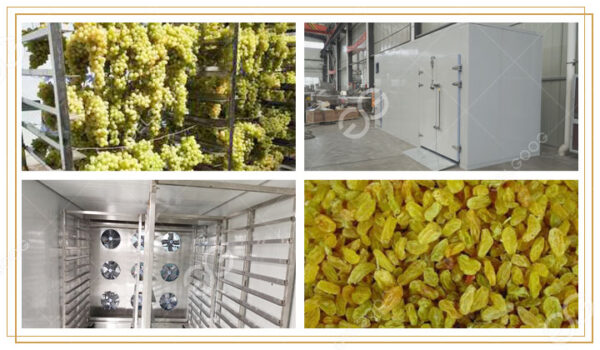 Industrial Grape Dehydrator Grapes Drying Machine