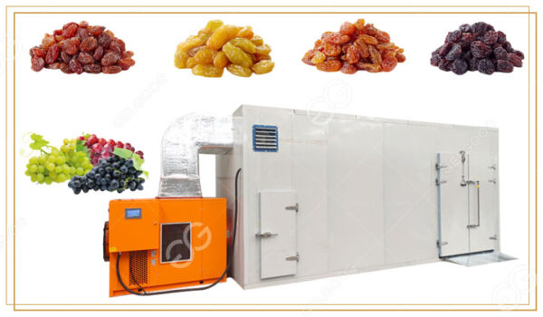 Industrial Grape Dehydrator Grapes Drying Machine