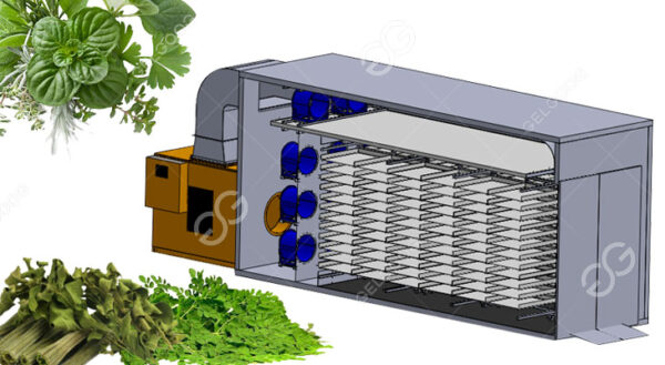 Moringa Leaf Drying Machine Heat Pump Herbal Leaf Dryer