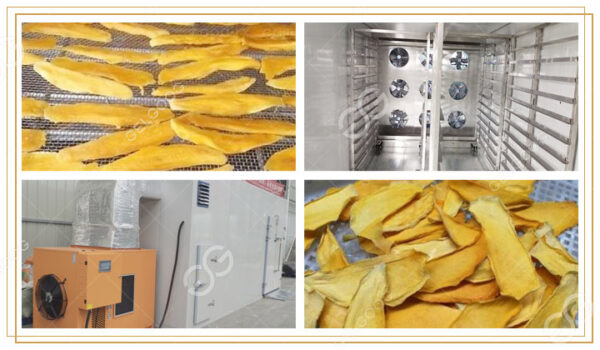 Commercial Mango Drying Machine Mango Fruit Dehydrator