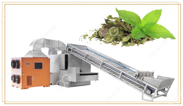 Continuous Mesh Belt Herb Leaves Dryer Mint Drying Machine