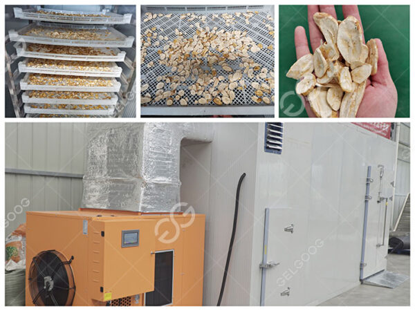 How To Start Plantain Flour Business - Food Dehydrator Supplier