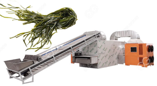 Continuous Seaweed Drying Machine Seaweed Belt Dryer