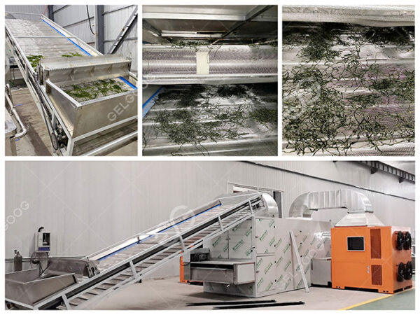 Continuous Seaweed Drying Machine Seaweed Belt Dryer