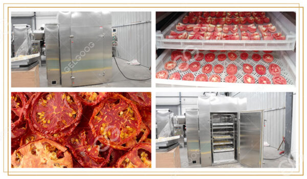 Hot Air Tomato Oven Dryer Tomato Drying Machine For Sale