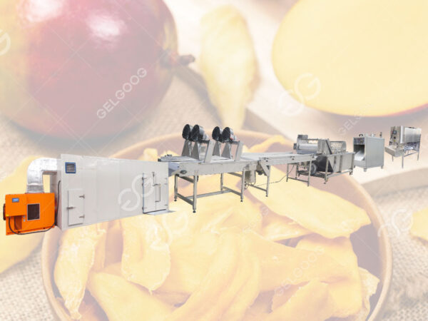 Industrial Dried Mango Production Processing Plant