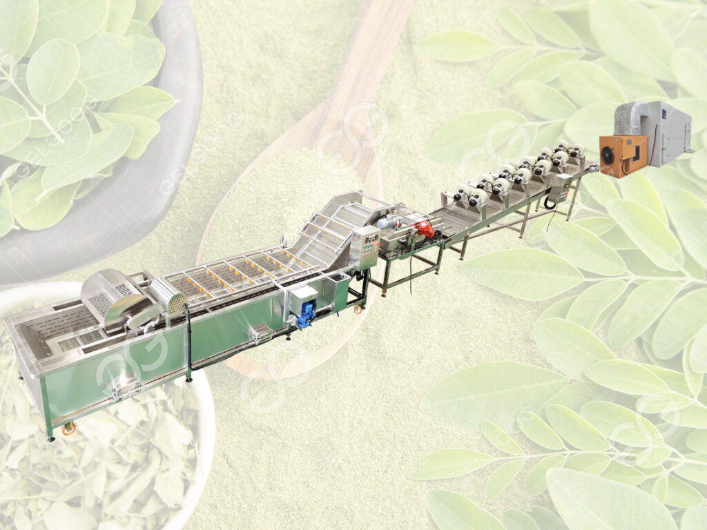 Industrial Dry Moringa Leaf Powder Making Processing Machine