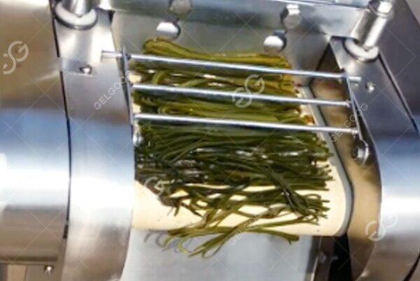 Fully Automatic Dried Seaweed Flakes Processing Machine